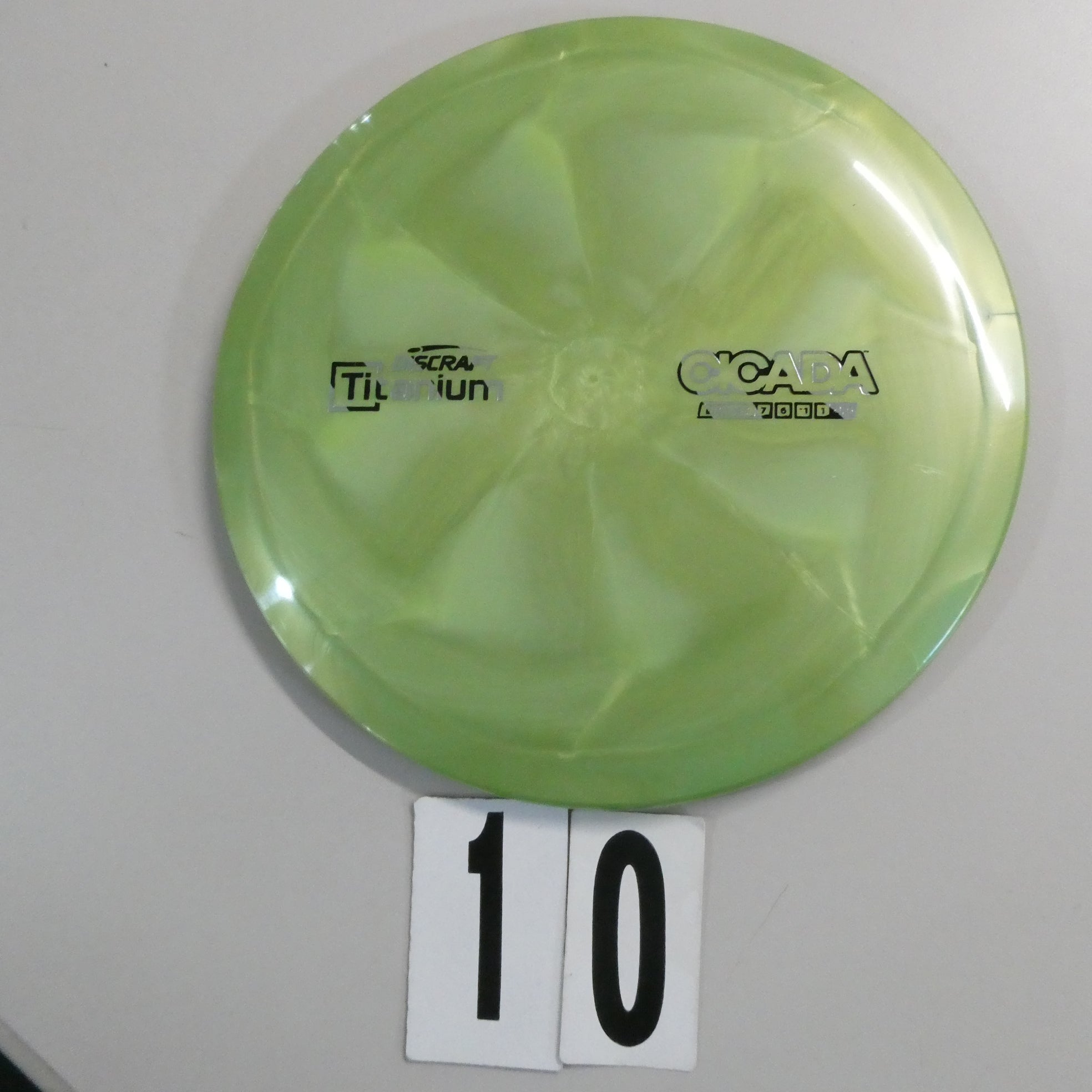 NEW Titanium Cicada – The Throw Shop